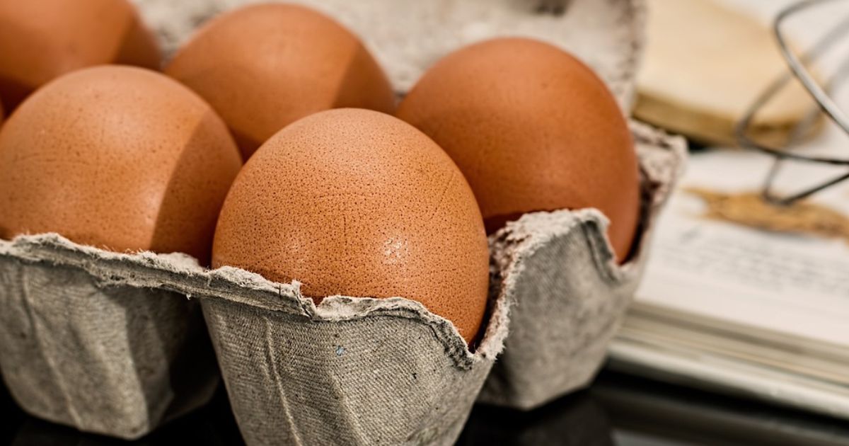 Uwaga: Salmonella w jajkach. Masz tę partię? Pod żadnym pozorem nie ... Uwaga: Salmonella w jajkach. Masz tę partię? Pod żadnym pozorem nie ...